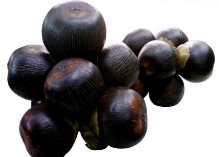 Manfaat Buah Siwalan untuk Kesehatan ~ Manfaat Buah