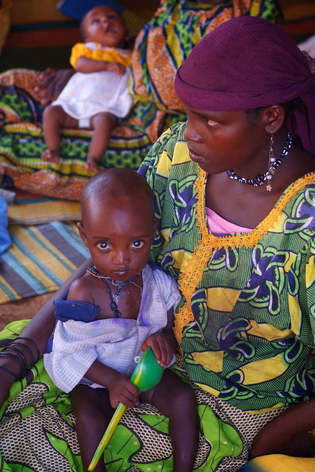 Krista's Galmi Adventure: Facts about Niger and the Galmi Hospital