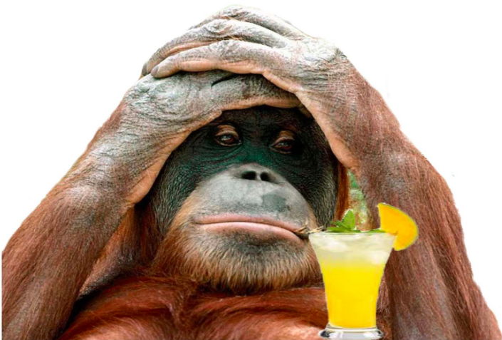 ¡A tu Salud!: De catarros, vitamina C y zumos naturales ¿Que hay de nuevo?