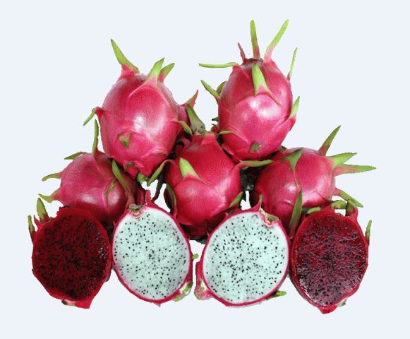 Khasiat Dan Manfaat Buah Naga Merah Dan Putih - KHASIAT DAUN