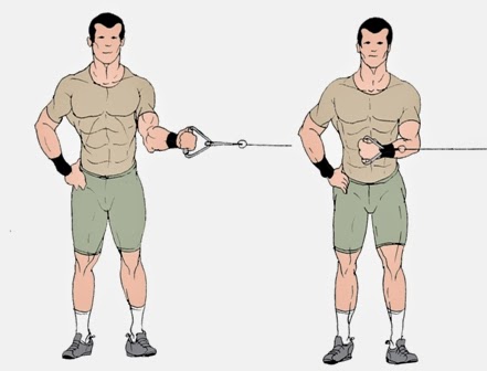 Fit-Man: Bark stabilny / Bark nie stabilny czyli dlaczego i jak do tego ...