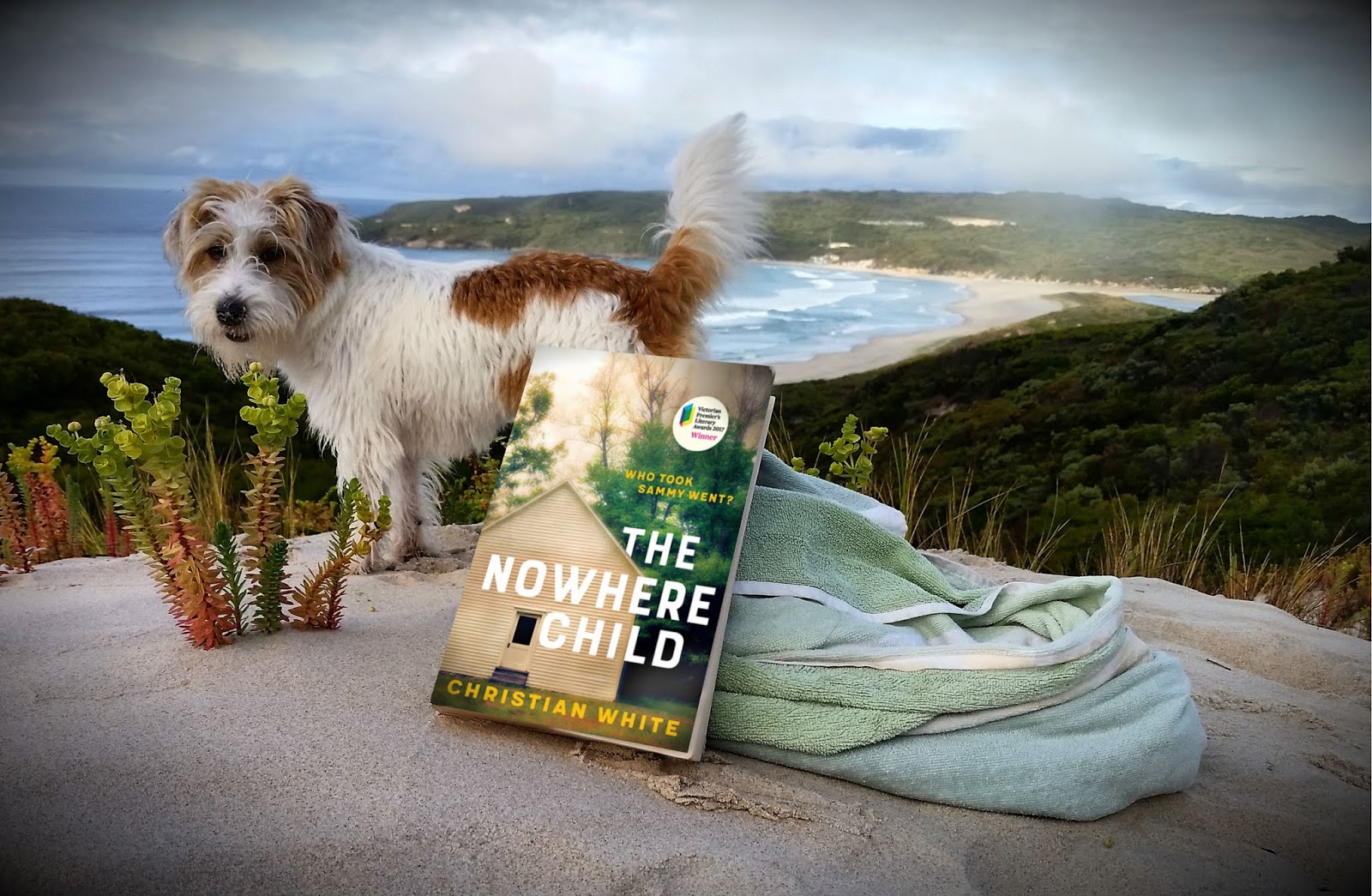 but books are better: Book Review: THE NOWHERE CHILD by Christian White