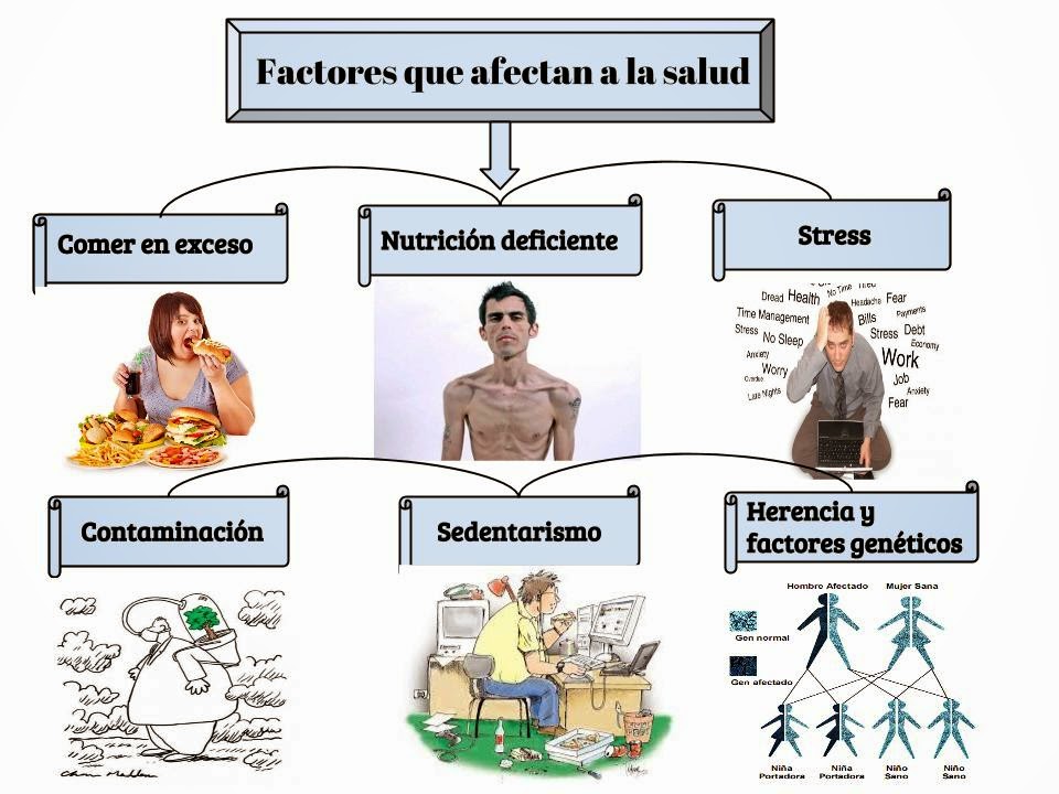 Factores Que Afectan La Salud Mapa Mental Porn Sex Picture