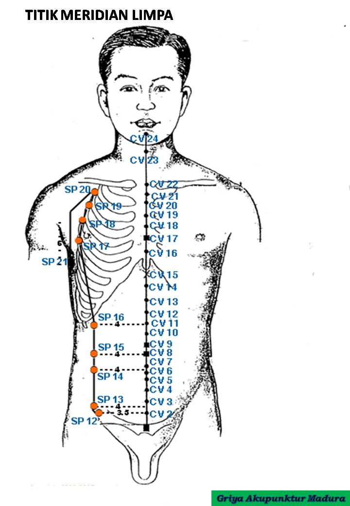 GRIYA AKUPUNKTUR MADURA: TITIK MERIDIAN LIMPA