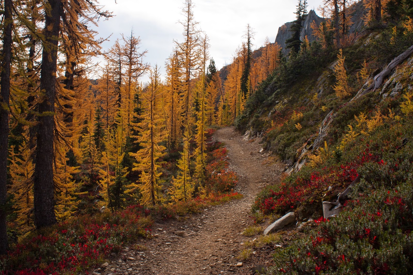 Hiking Shenandoah: Grasshopper Pass