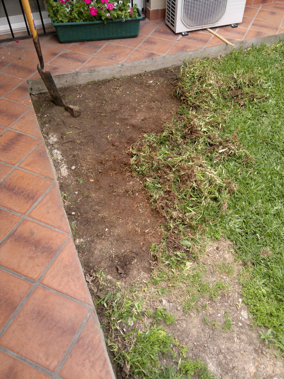 Técnico en Jardinería: Grama bahiana.
