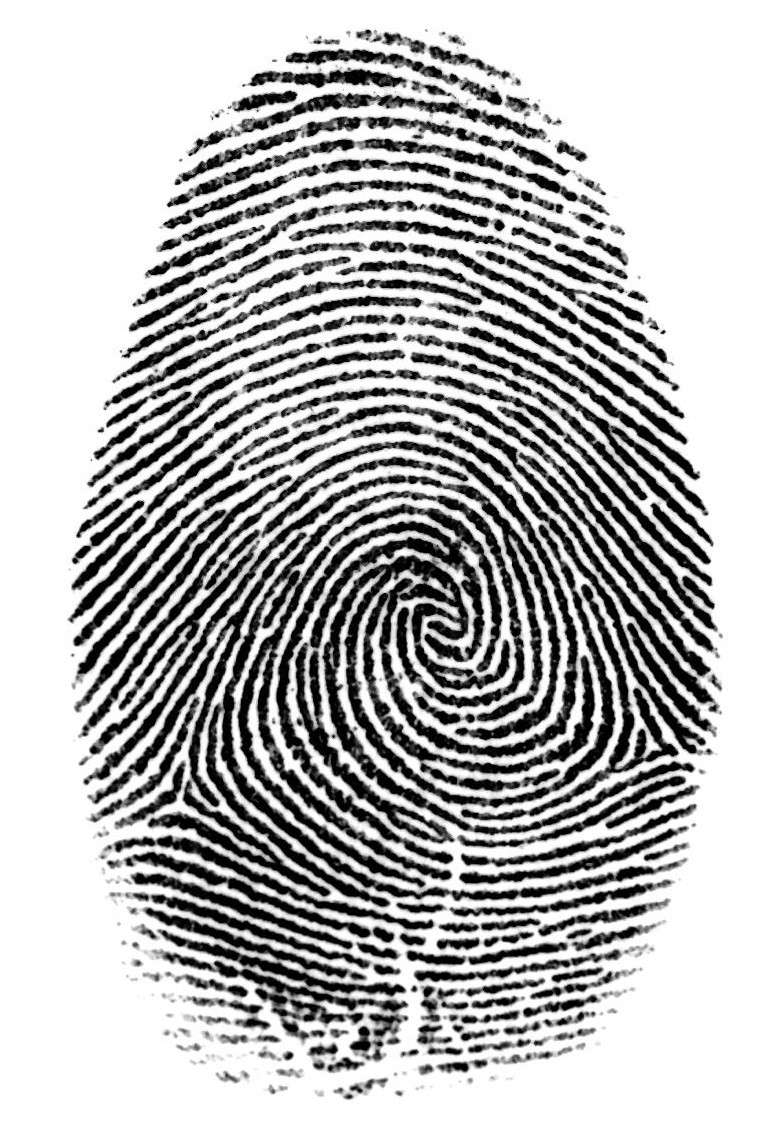 A Fingerprint Expert Blogs a-fingerprint-expert-blogs