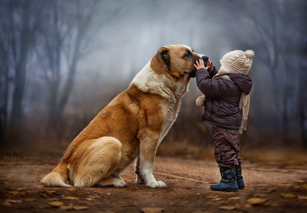 Top 25 Photographs on Flickr in 2014