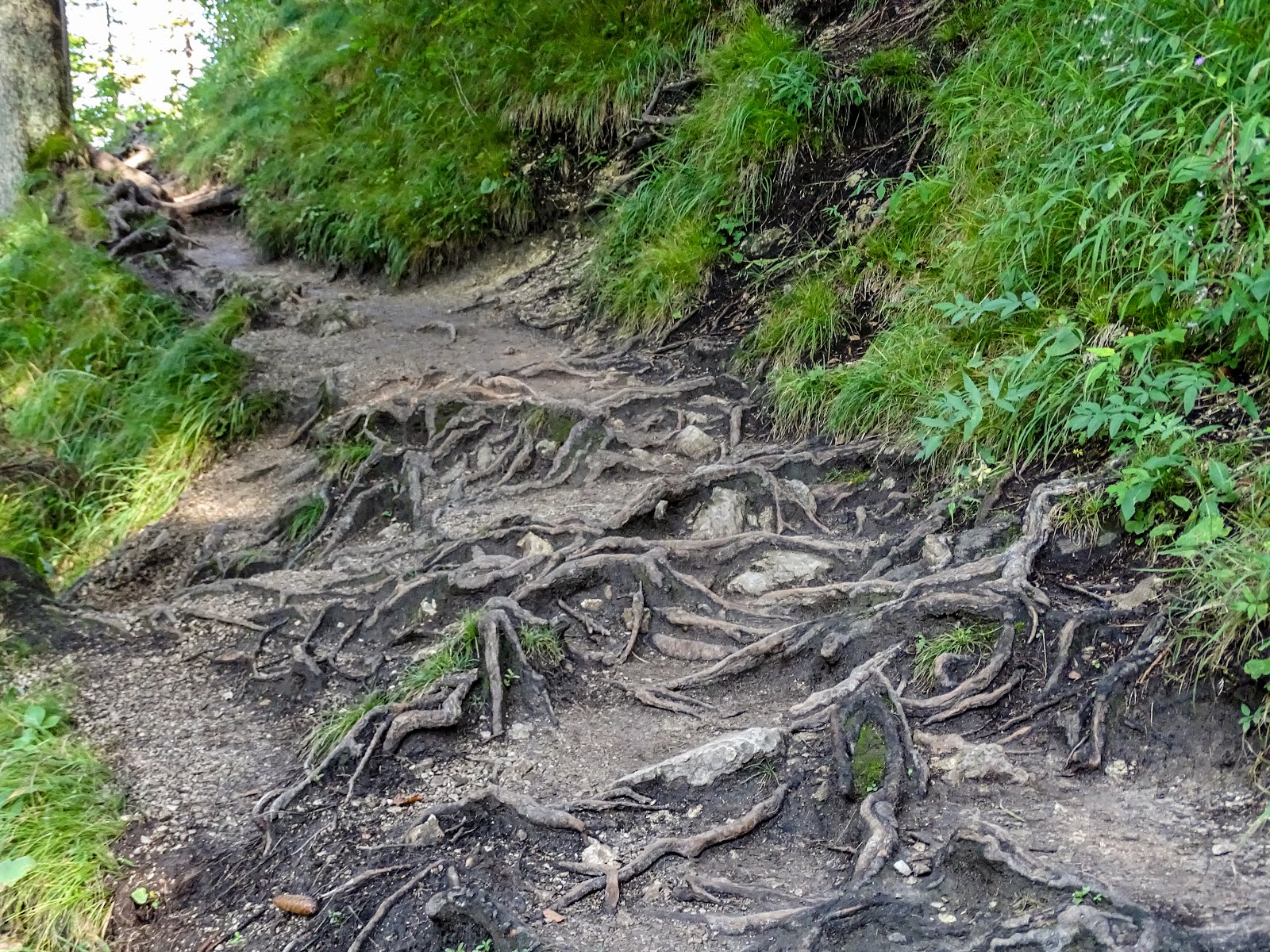 Walking Arizona: A Rough Path