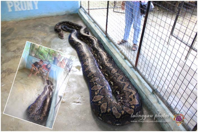 Bohol Family Trip | The Countryside Tour ~ The Pinay Wanderer