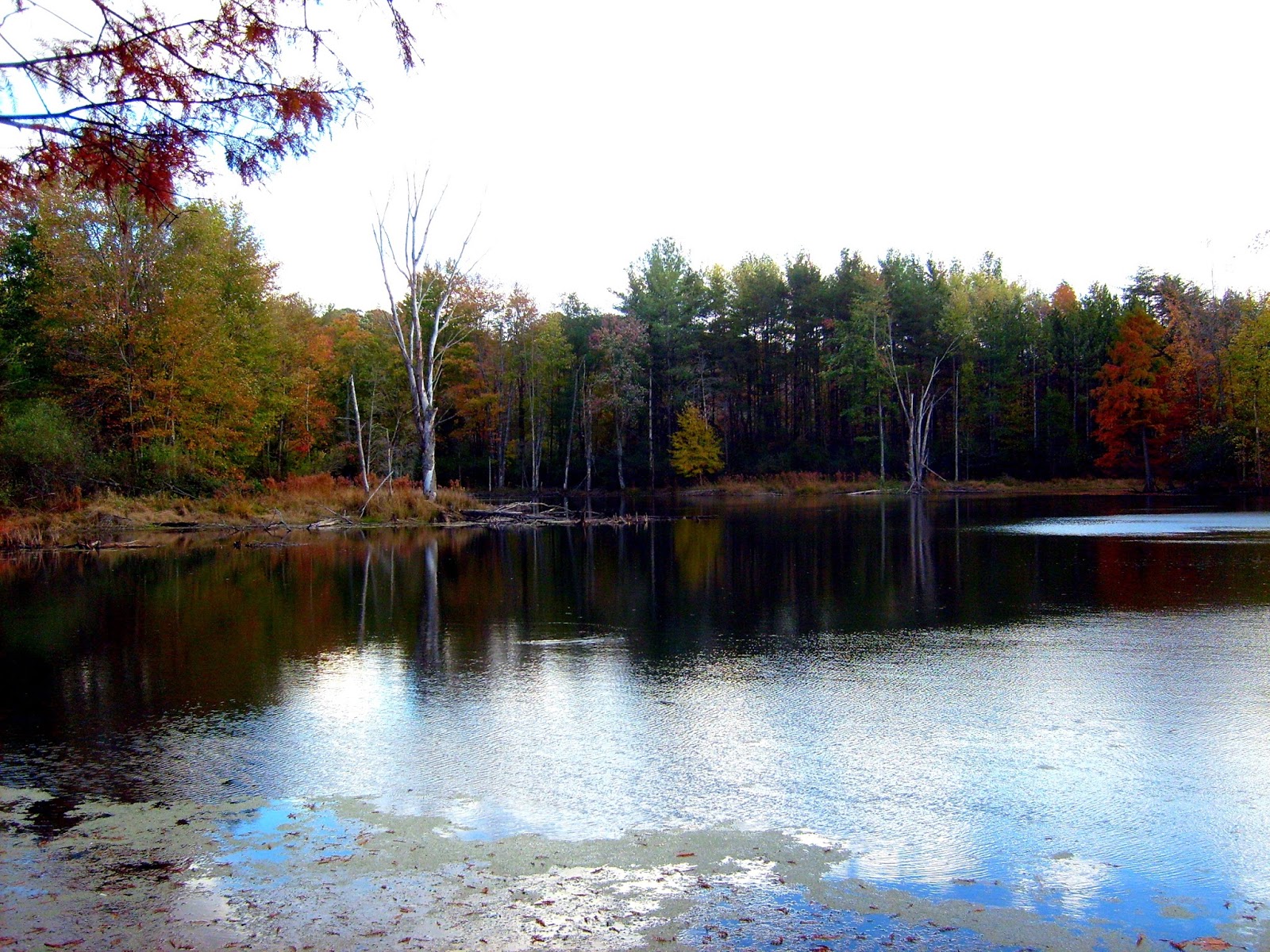 Muscatatuck National Wildlife Refuge