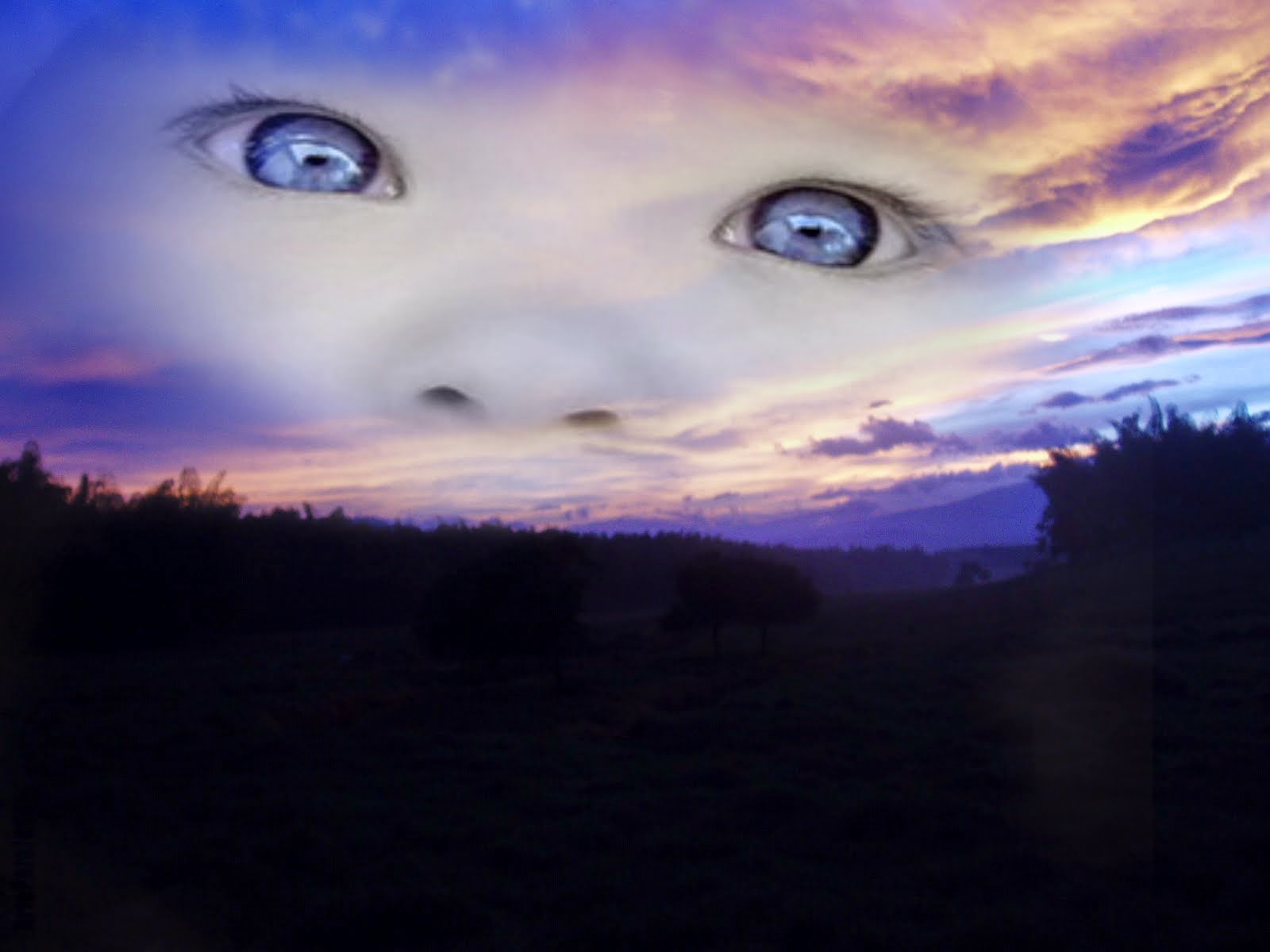 Diferencias y Controversias: Reseña: "Ojitos de Ángel"