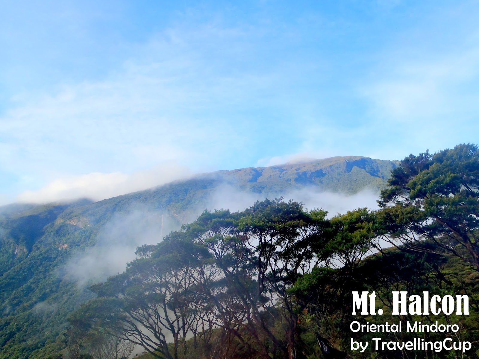 Hiking Mt. Halcon, Mindoro