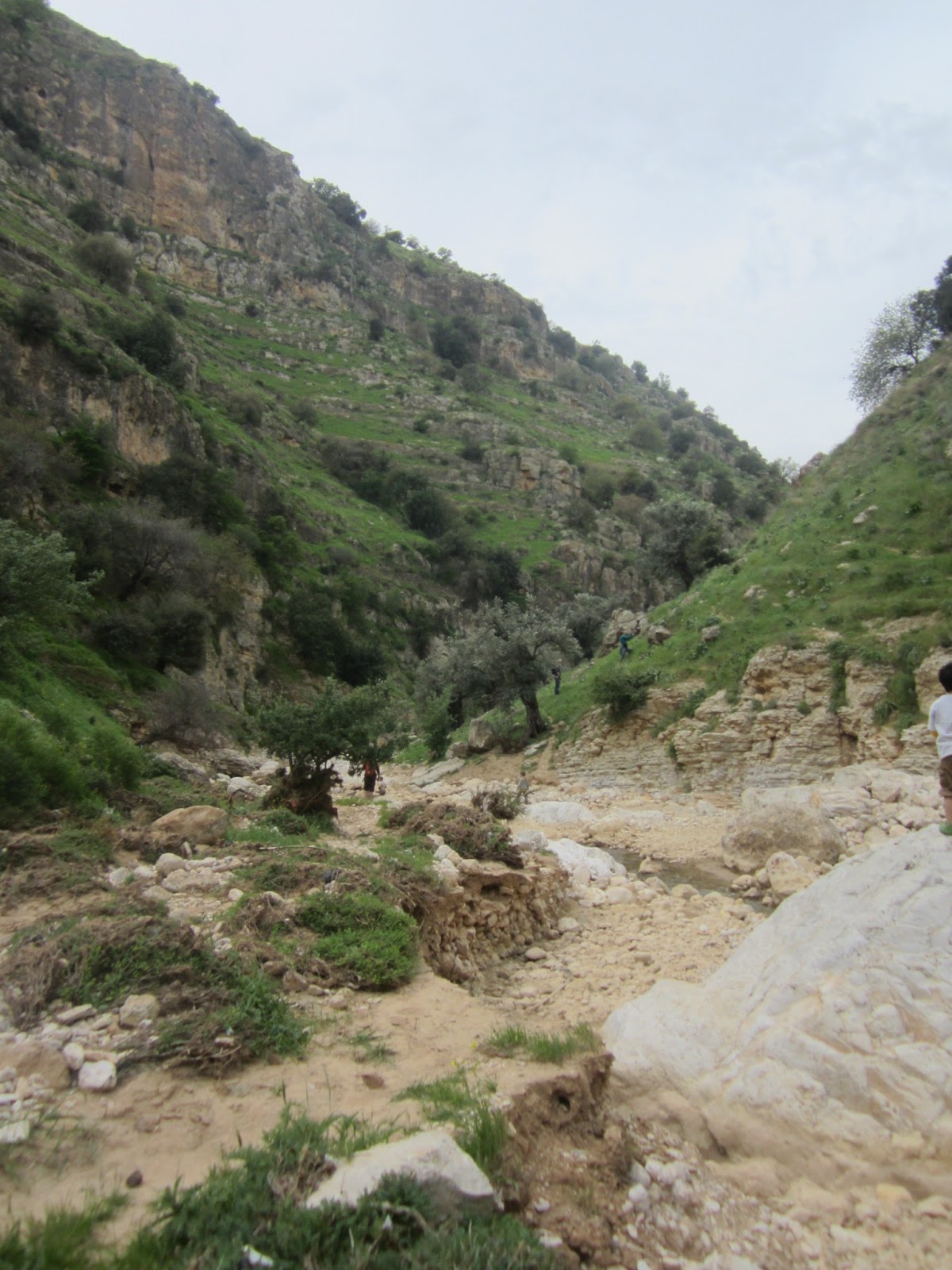 mishmish: Wadi Yabis