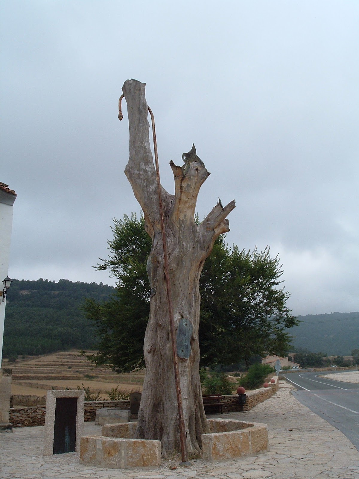 El bagul de les lletres: A UN OLMO SECO, ANTONIO MACHADO