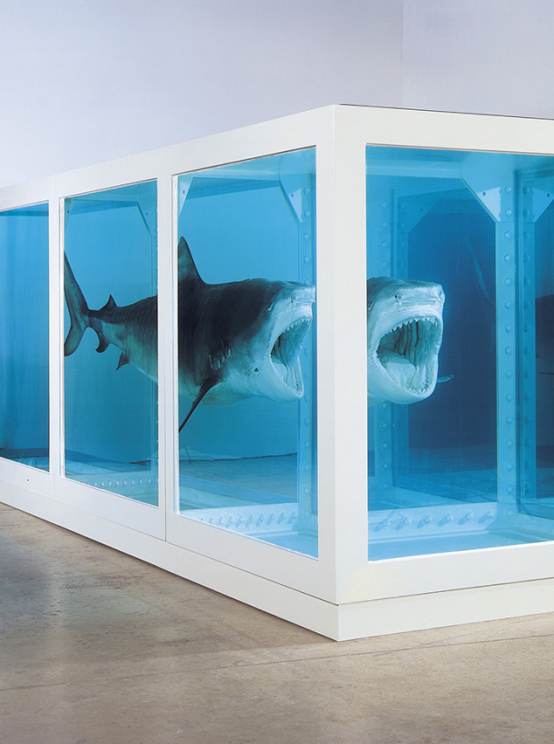 The Real Dwayne Allen.com: Shark Tank.....?