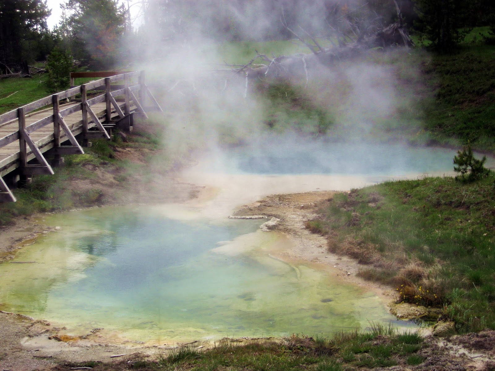 Focusing On Travel : Yellowstone: West Thumb Geyser Basin - Two Thumbs Up