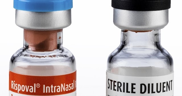 Phil at Red Rock: New one-dose pack for calf pneumonia vaccine