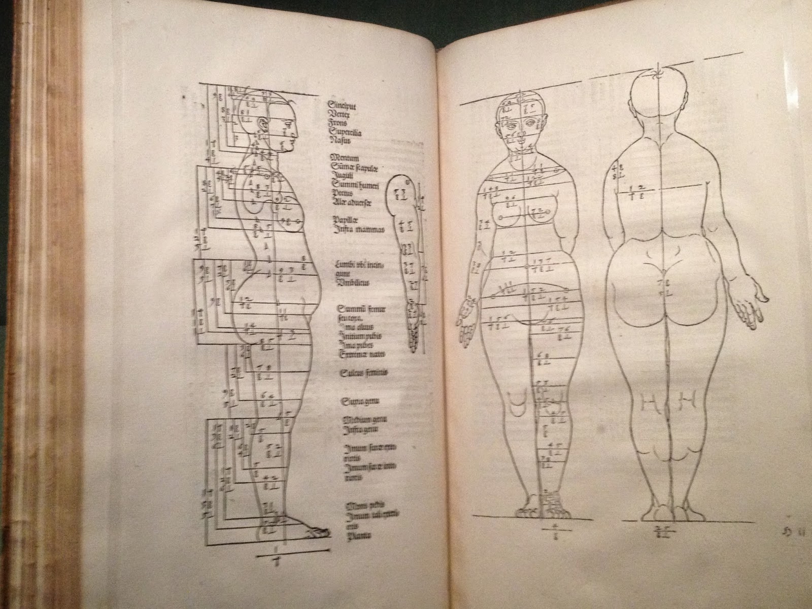 Every goddamn day: 04/20/22: May 2014