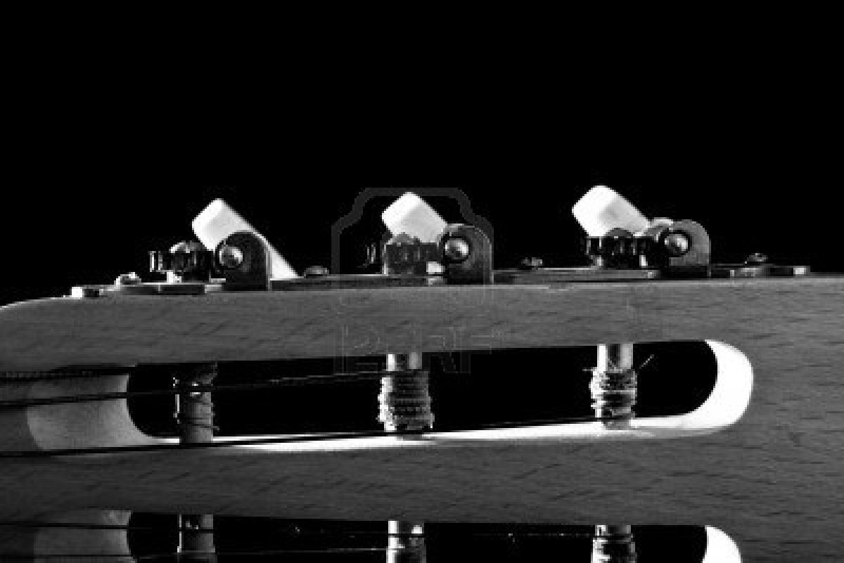 Laura Fiddler GRPH 312