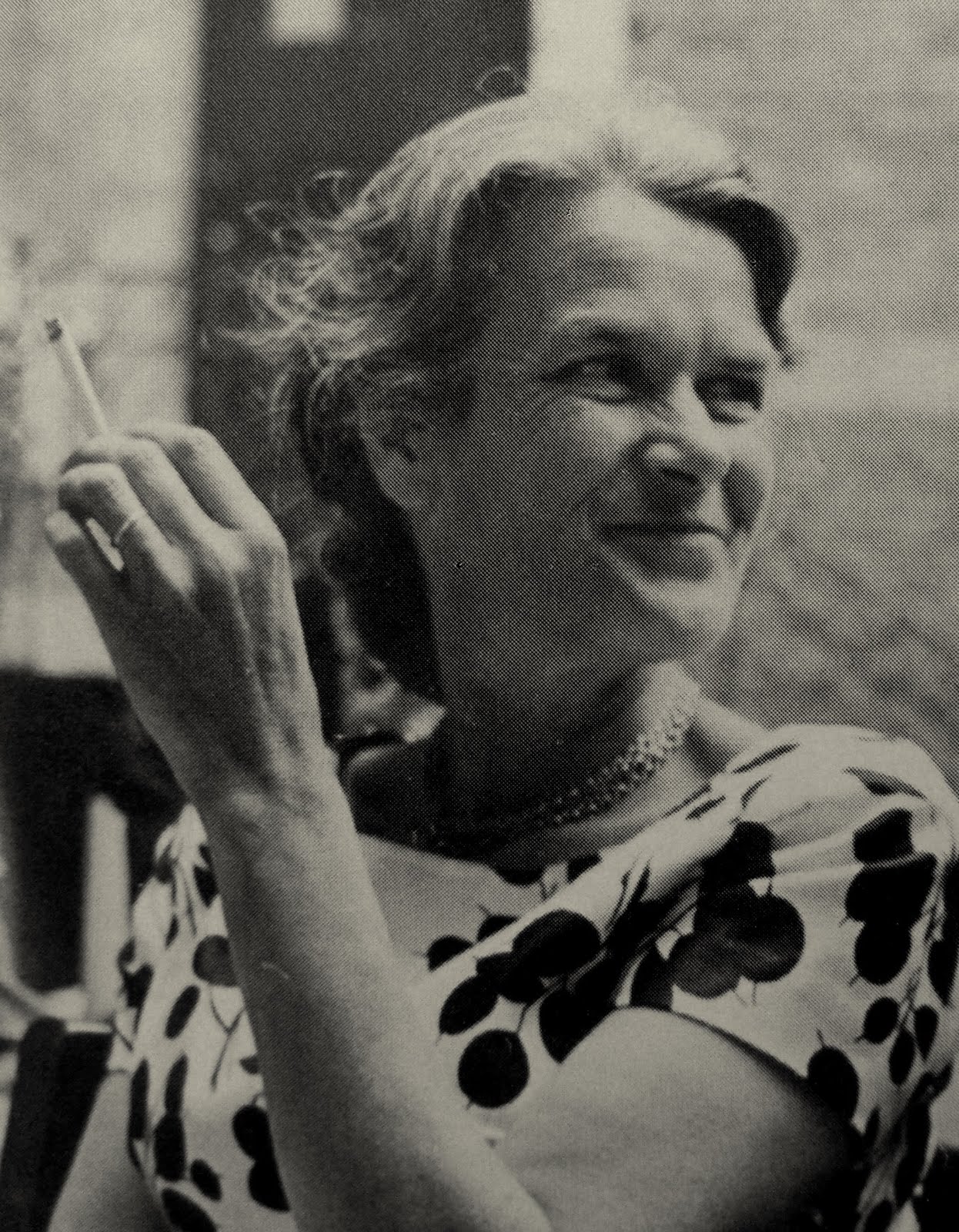 DE VERBORGEN HOEK: VASALIS - De oude kustlijn