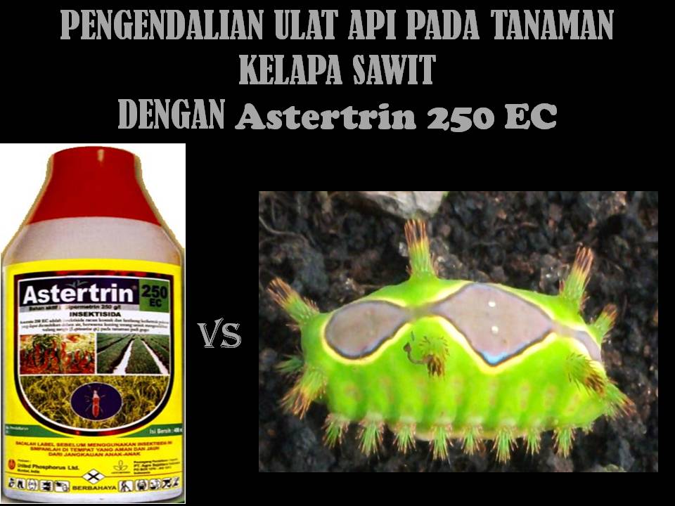 PANDUAN PENGENDALIAN ORGANISME PENGGANGGU TANAMAN (OPT) KELAPA SAWIT ...