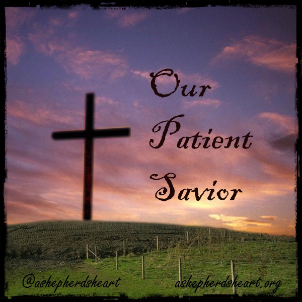 A Shepherd's Heart: Our Patient Savior - A Reflection On The Saving ...
