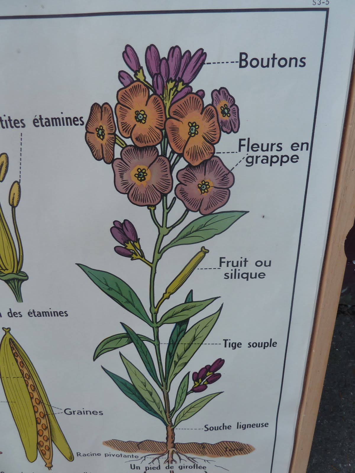 Ecole FMR 1000 Affiches scolaires: Mdi anncienne affiche scolaire les ...