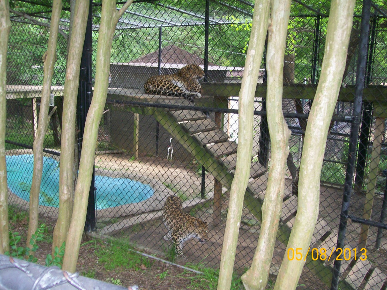 Rockhounding Around: Jackson Zoo, Jackson Mississippi