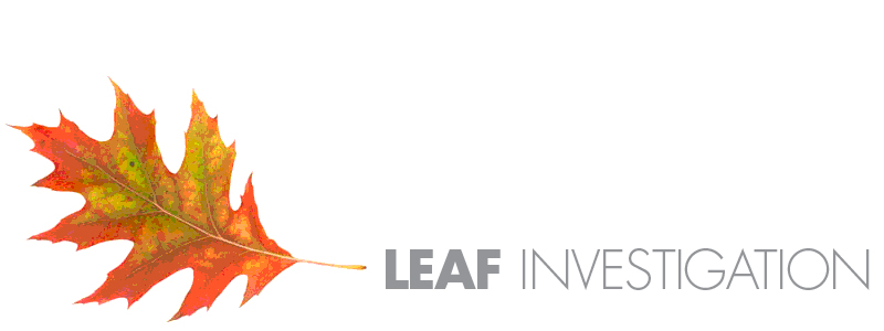 E is for Explore!: September 2012