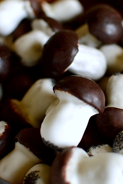 Su šaukštu aplink pasaulį: Meduoliniai grybukai