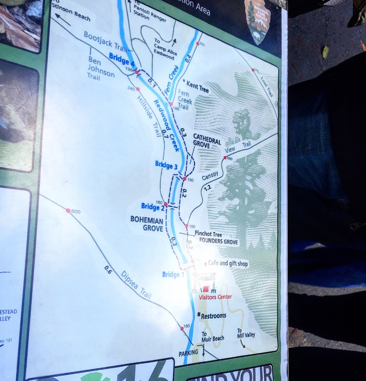 Run-Hike-Play: Fun day trip Part 1: Muir Woods National Monument & Muir ...