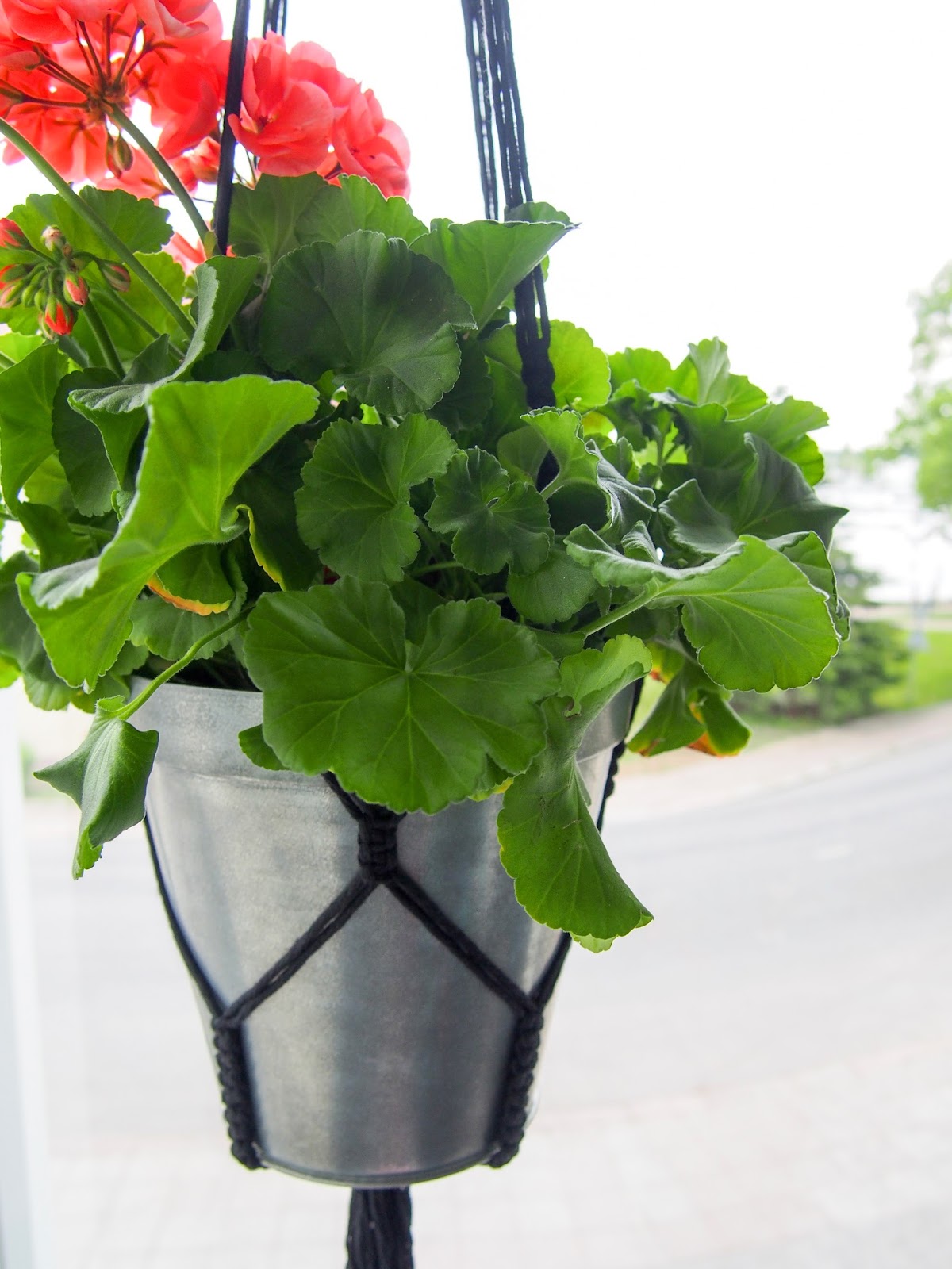 Makramee-amppeli - Pientä kivaa