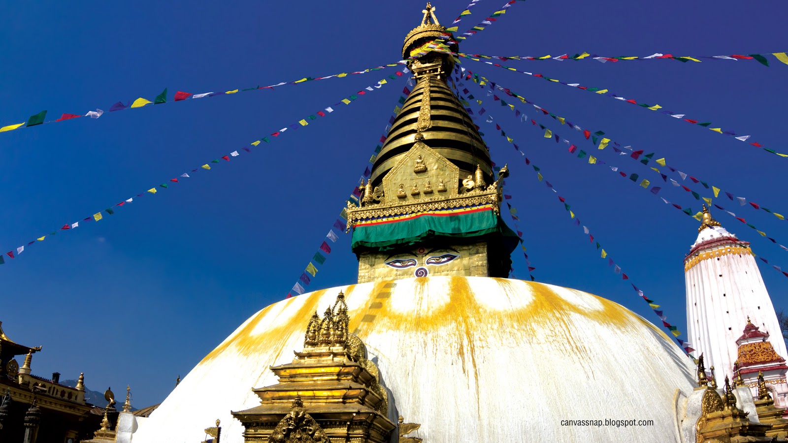 SHARE TWEET TELEGRAM WHATSAPP PIN IT SHARE