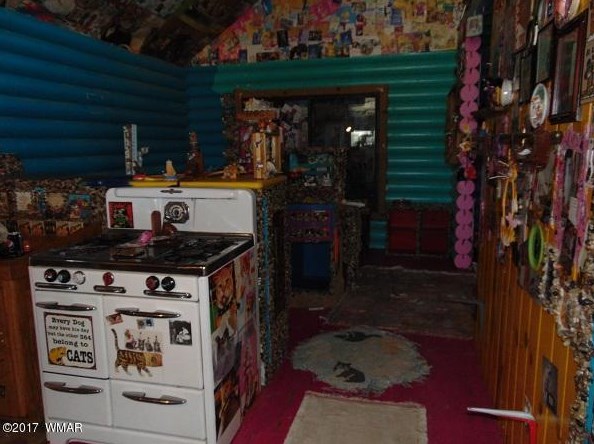 Harfang Voyageur: cat castle