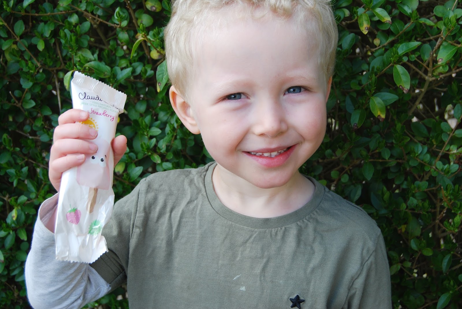 Chic Geek Diary: Claudi & Fin Greek Style Frozen Yogurt Lollies ...