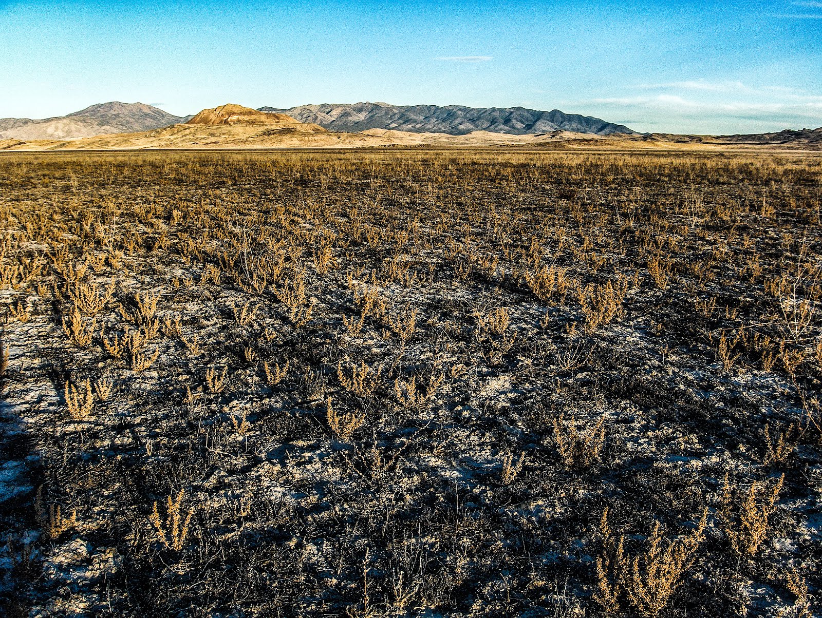 Walking Arizona: Salt Flat Desert