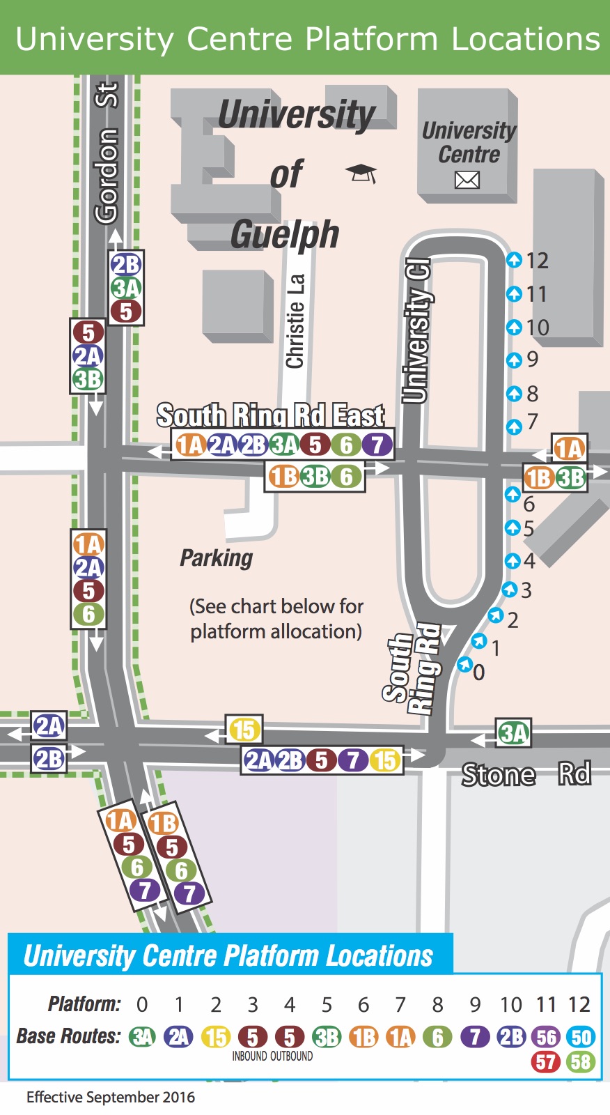 Guelph Politico: Back to School Tips - Renting, Transit and Safe Semester