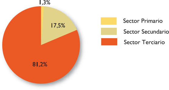 Sectores Económicos: Introduccion