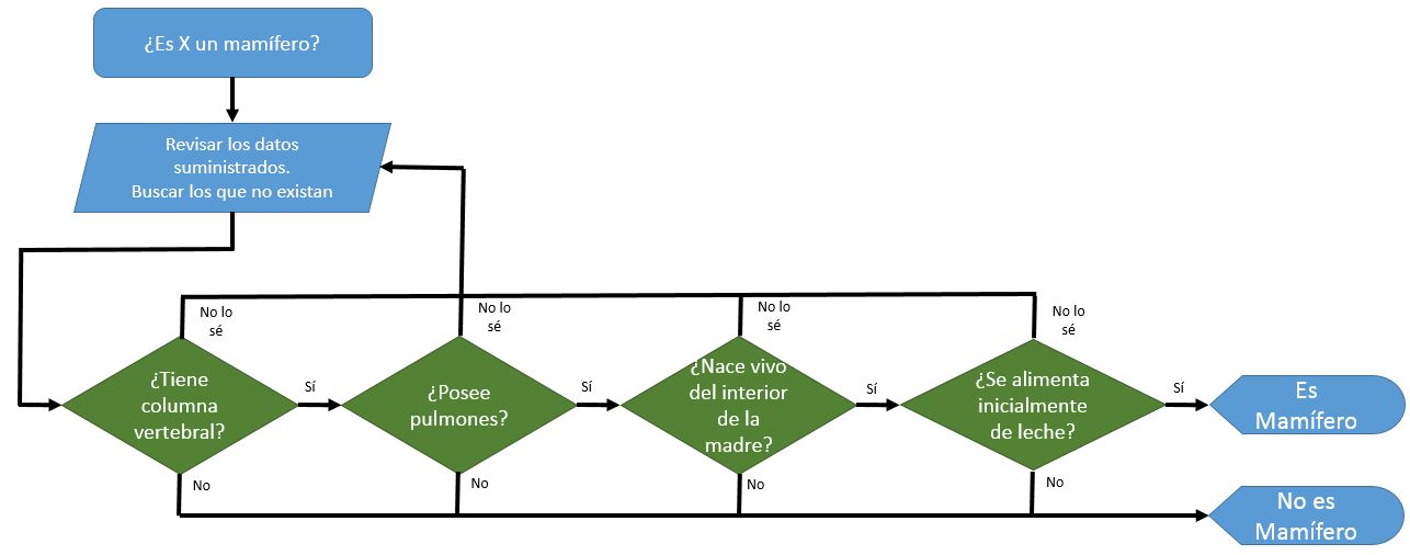 Mapas conceptuales, relacionales y procedimentales ~ UCAFE