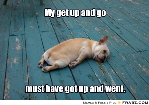 Stars, Stripes & Sarcasm: In a Funk | Girl Boss