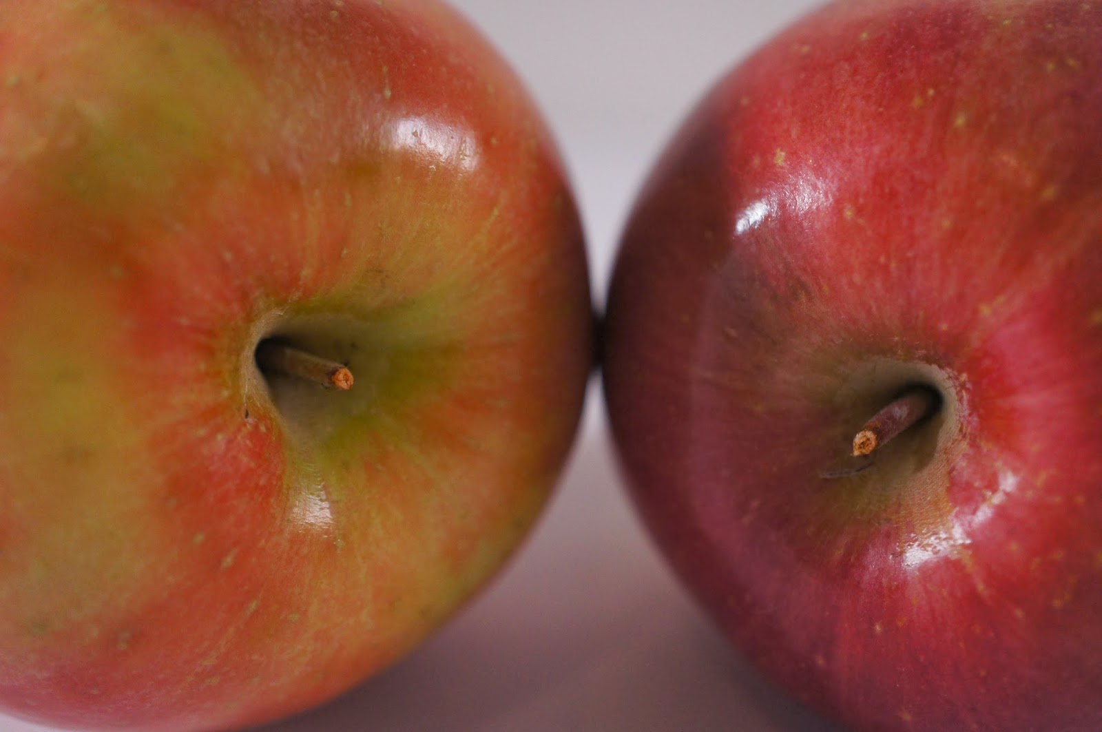 34 apples copyright free pictures for websites