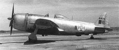 REPUBLIC F-47D THUNDERBOLT (M771 - PM124/2012) ~ PÁSSARO DE FERRO