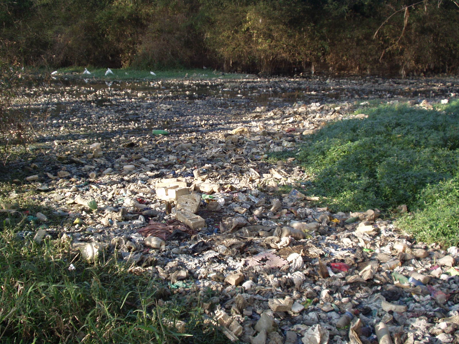 Echilibre şi dezechilibre naturale: Poluarea Solului
