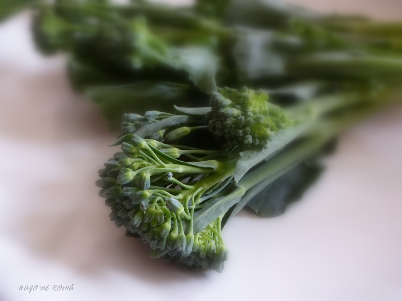 Bago de Romã: "Conhecer Melhor" - Bimi ou Mini-Brócolos ou Broccolini