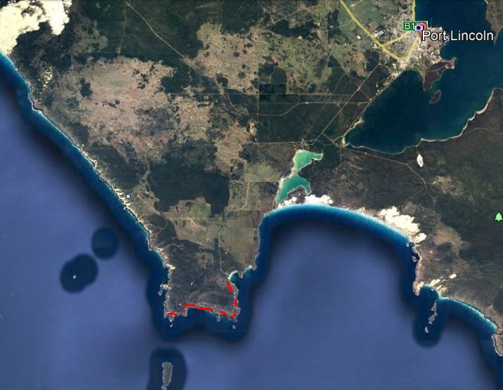 Travels with a Tick Magnet: The Whalers Way