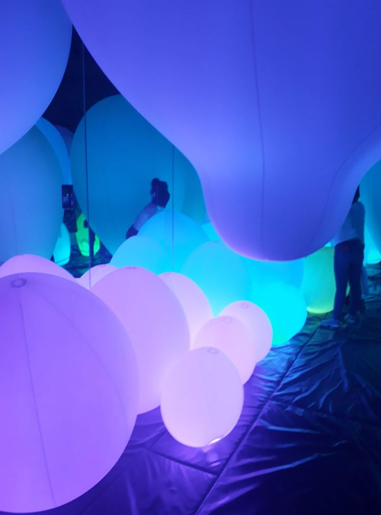 10 Tips for visiting teamLab Borderless Digital Musuem Tokyo