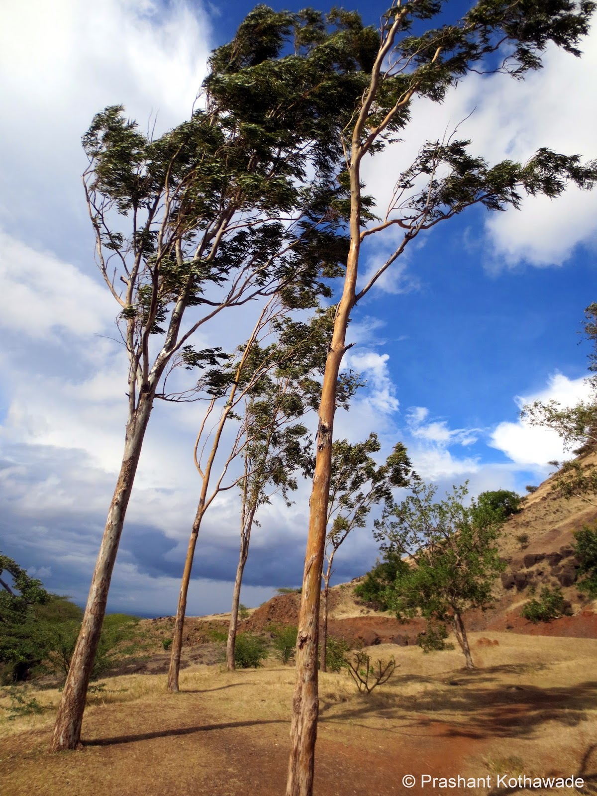 Prashant Kothawade's blogs: Varugad - A Picturesque Hike
