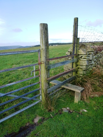 Dafad's-Days: THE SINGING GATE