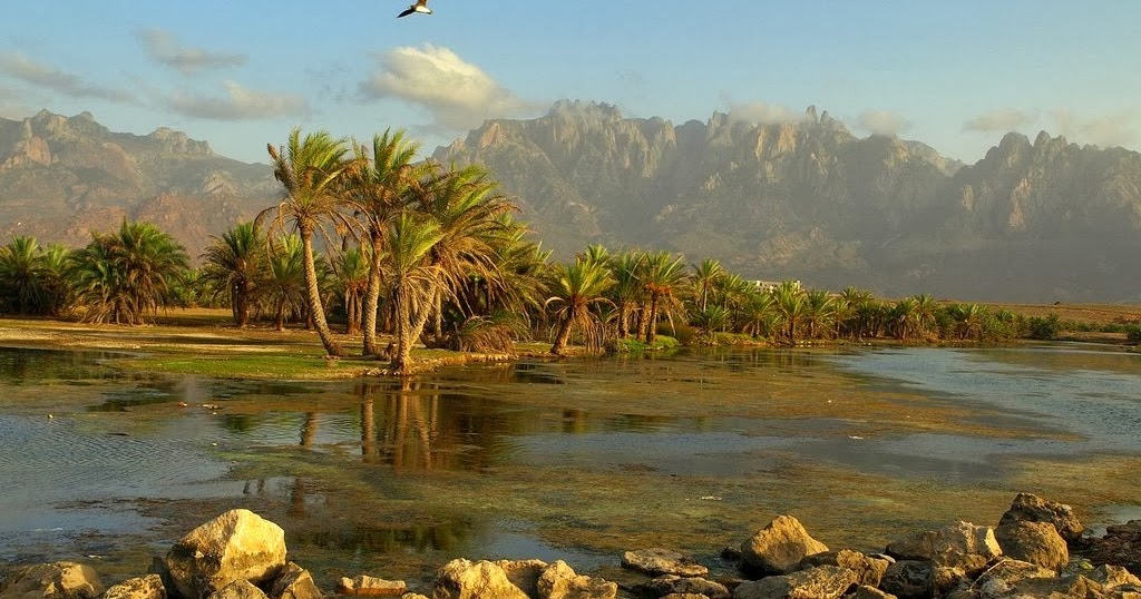 Socotora un pequeño archipiélago del Índico que parece de otro mundo ...